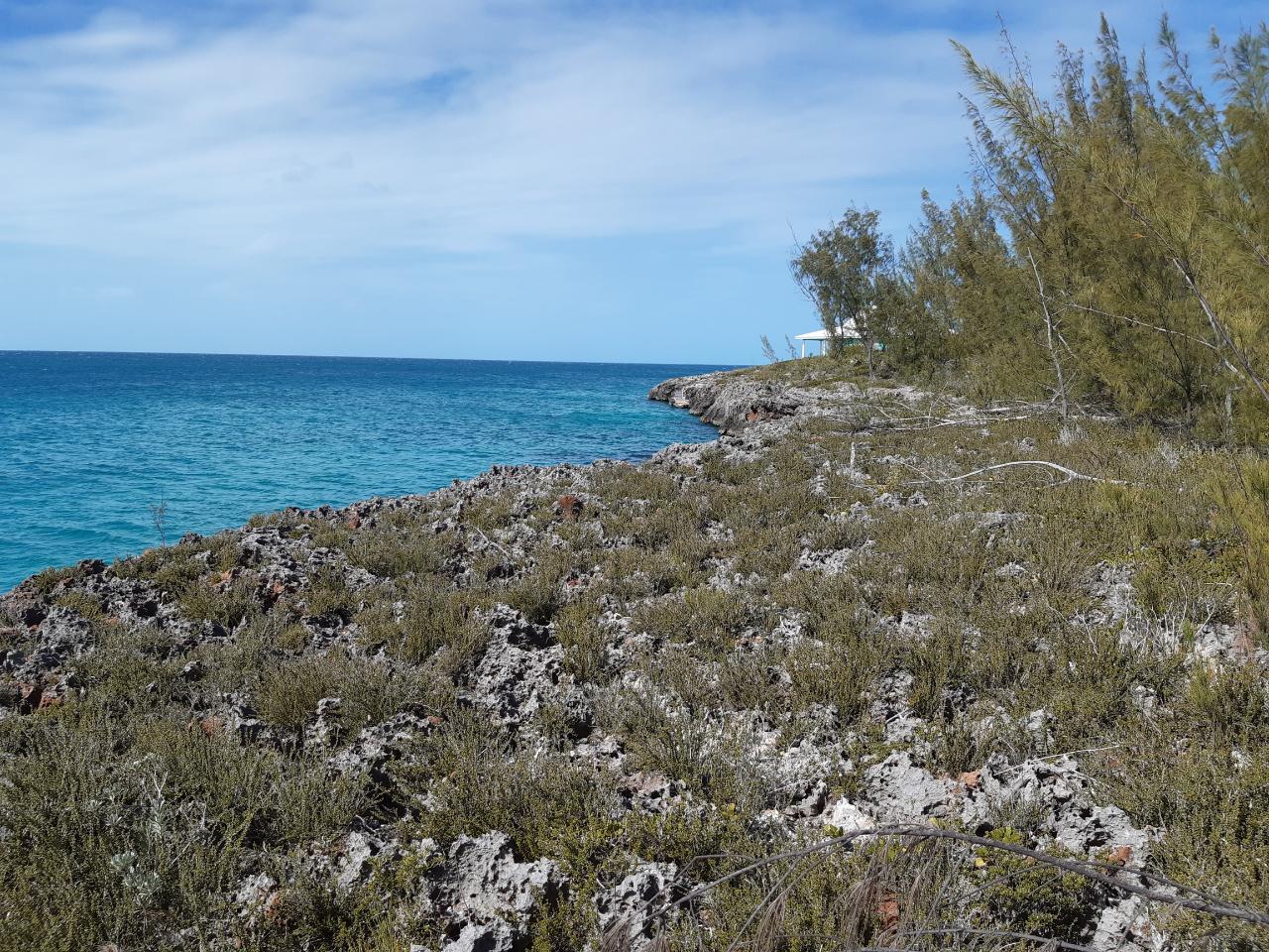 QUEENS HIGHWAY – KRA Bahamas