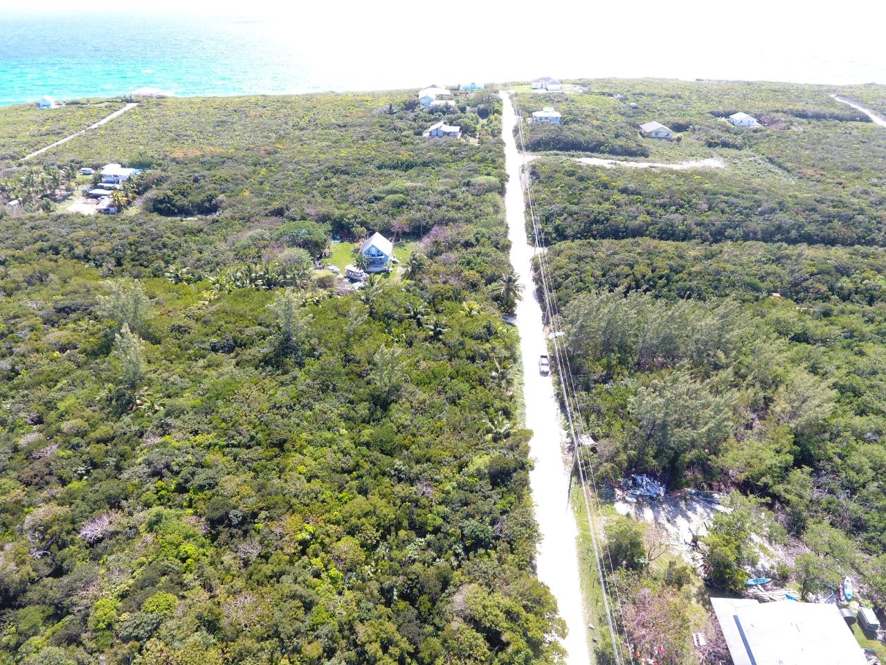 YELLOW WOOD, CHEROKEE – KRA Bahamas