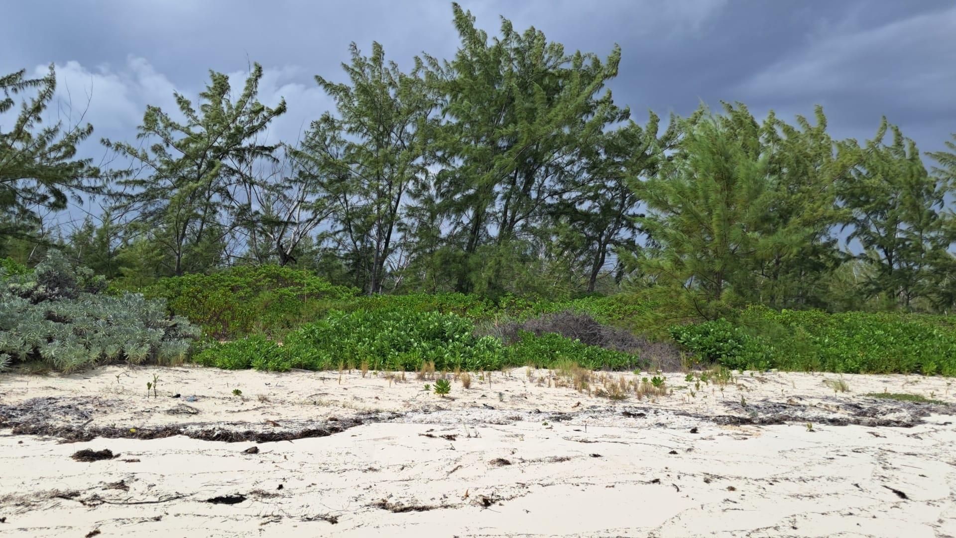 KEMPS BAY – KRA Bahamas