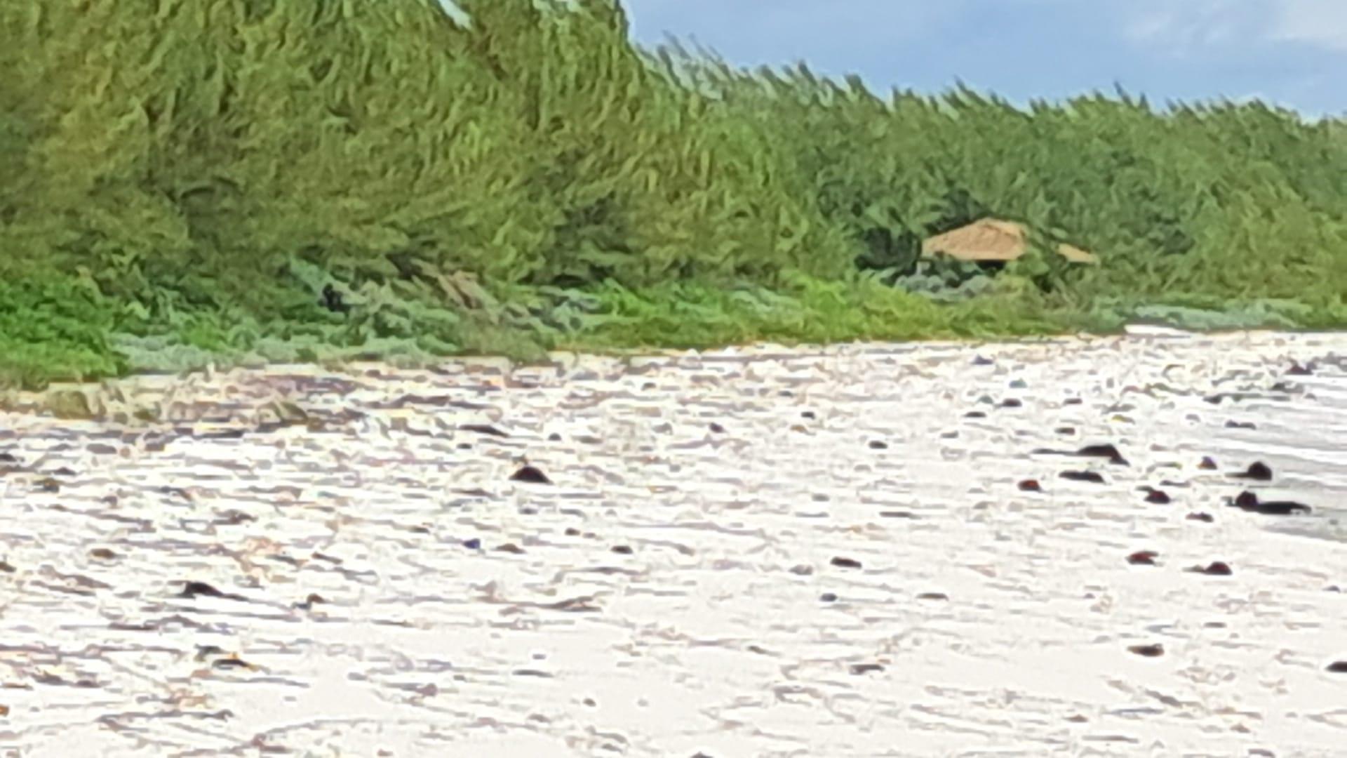 KEMPS BAY – KRA Bahamas