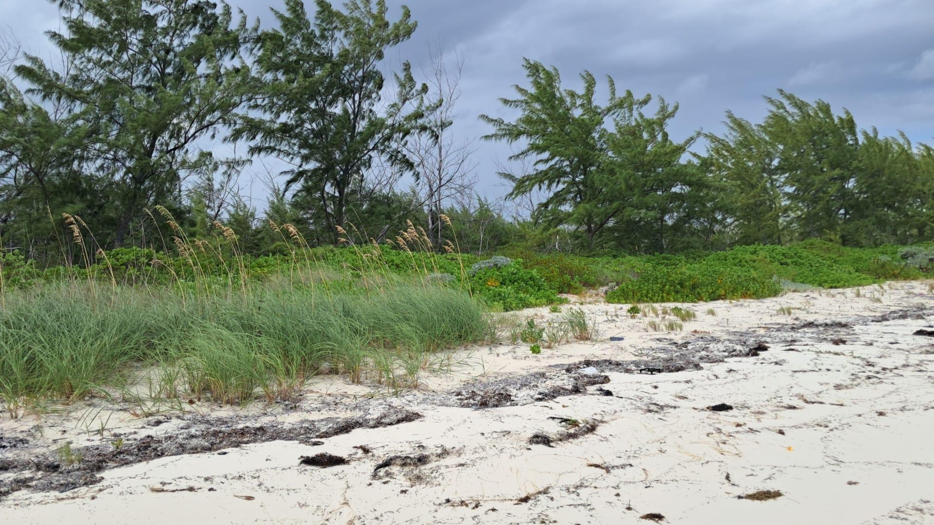 KEMPS BAY – KRA Bahamas