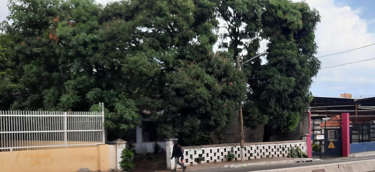 Photo Gallery 72 Constant Spring Road in Kingston 10 MLS ID 75085 CRSJa.com