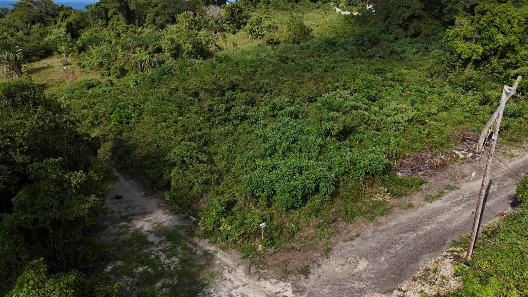 Lot 95 Cardiff Hall, in Runaway Bay MLS ID 97369 - CRSJa.com